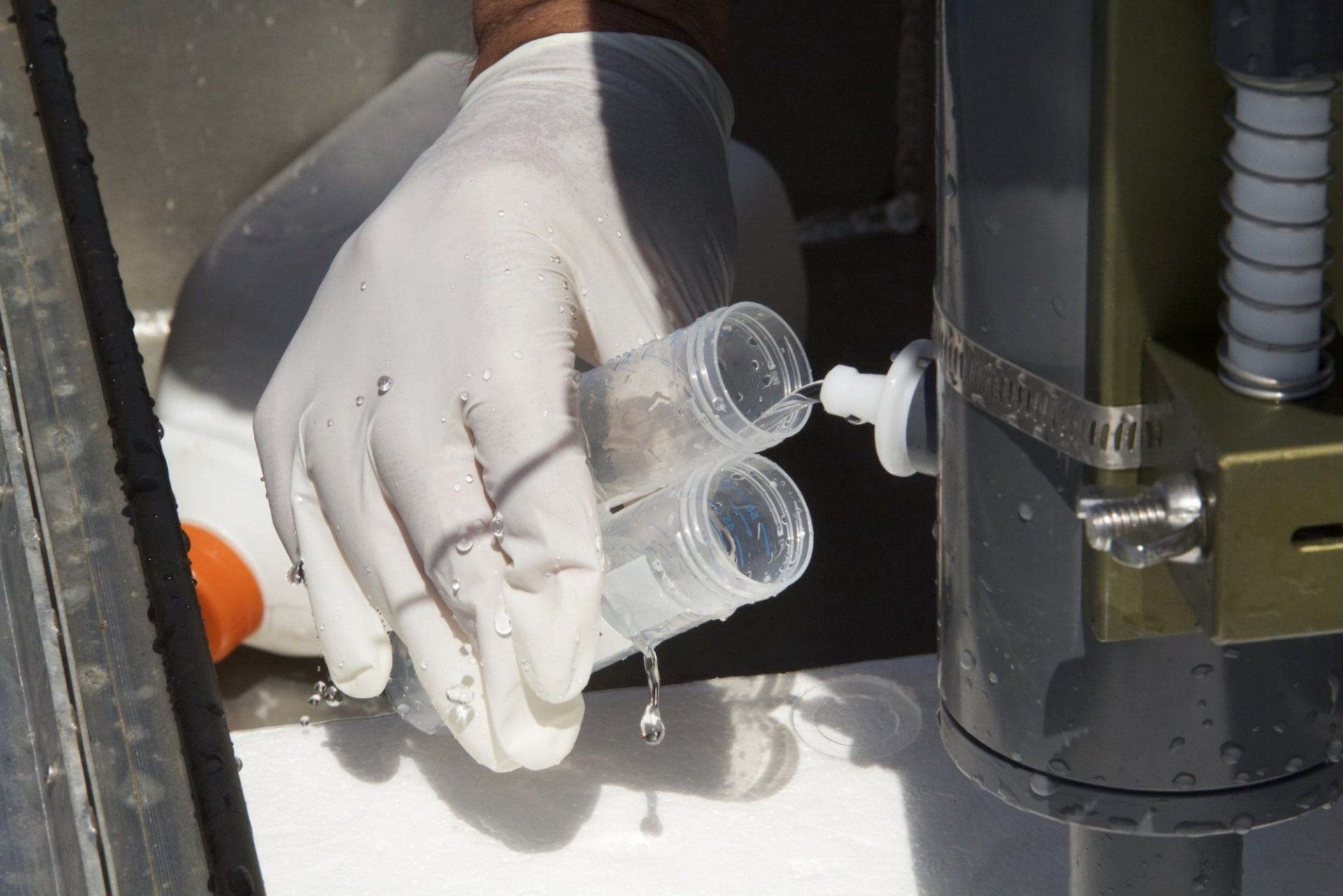 Forage Fish Spawning Habitat | PSF Marine Science Program