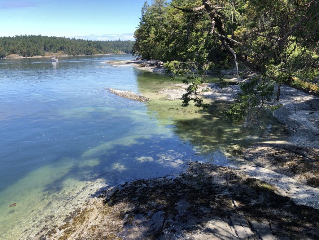 Nearshore & Estuary Projects | PSF Marine Science Program